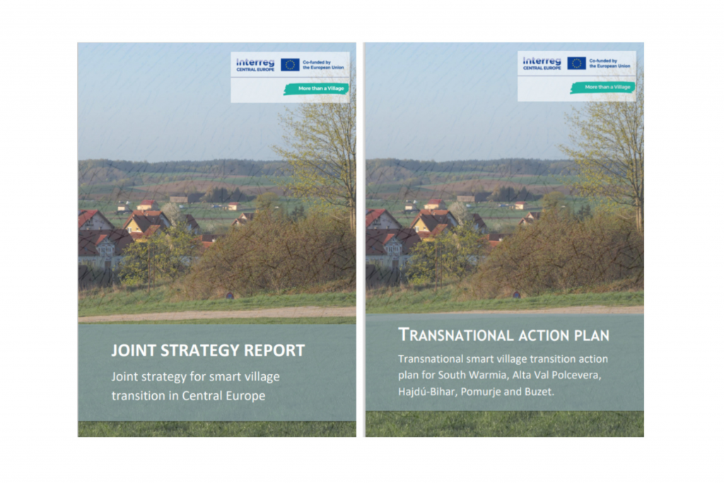 More Than a Village - joint strategy and the transnational action plan ...